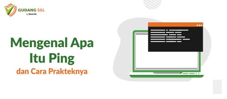 Apa Itu Ping, Fungsi dan Cara Praktek yang Benar - Gudangssl